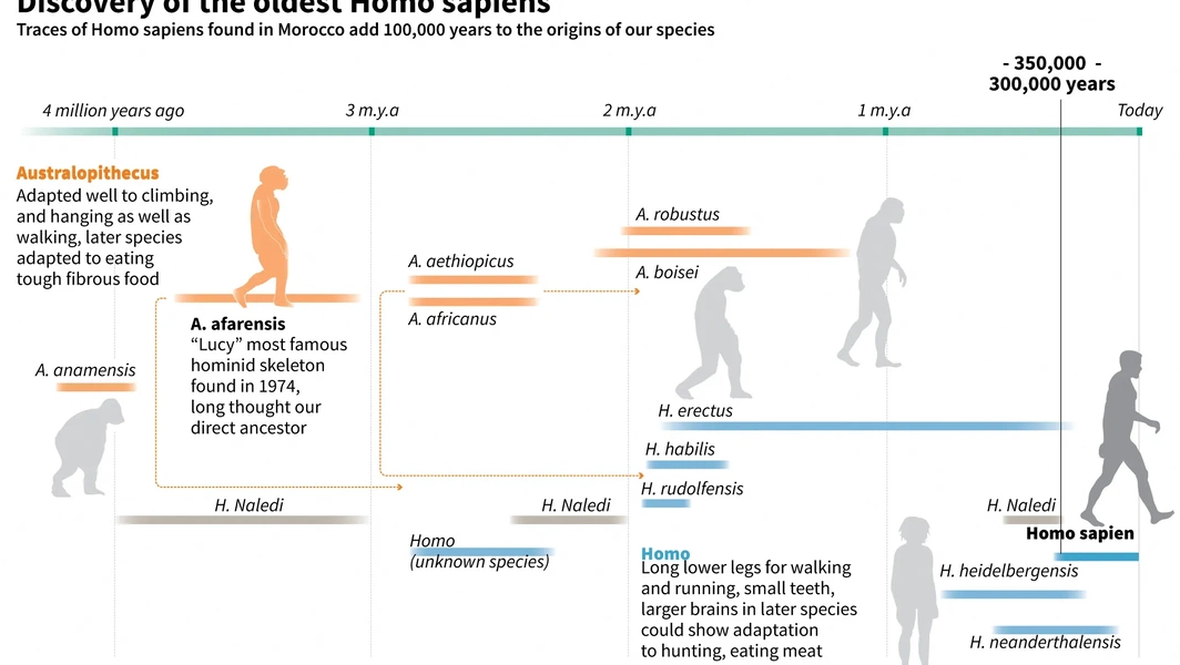 The tangled roots of human evolution