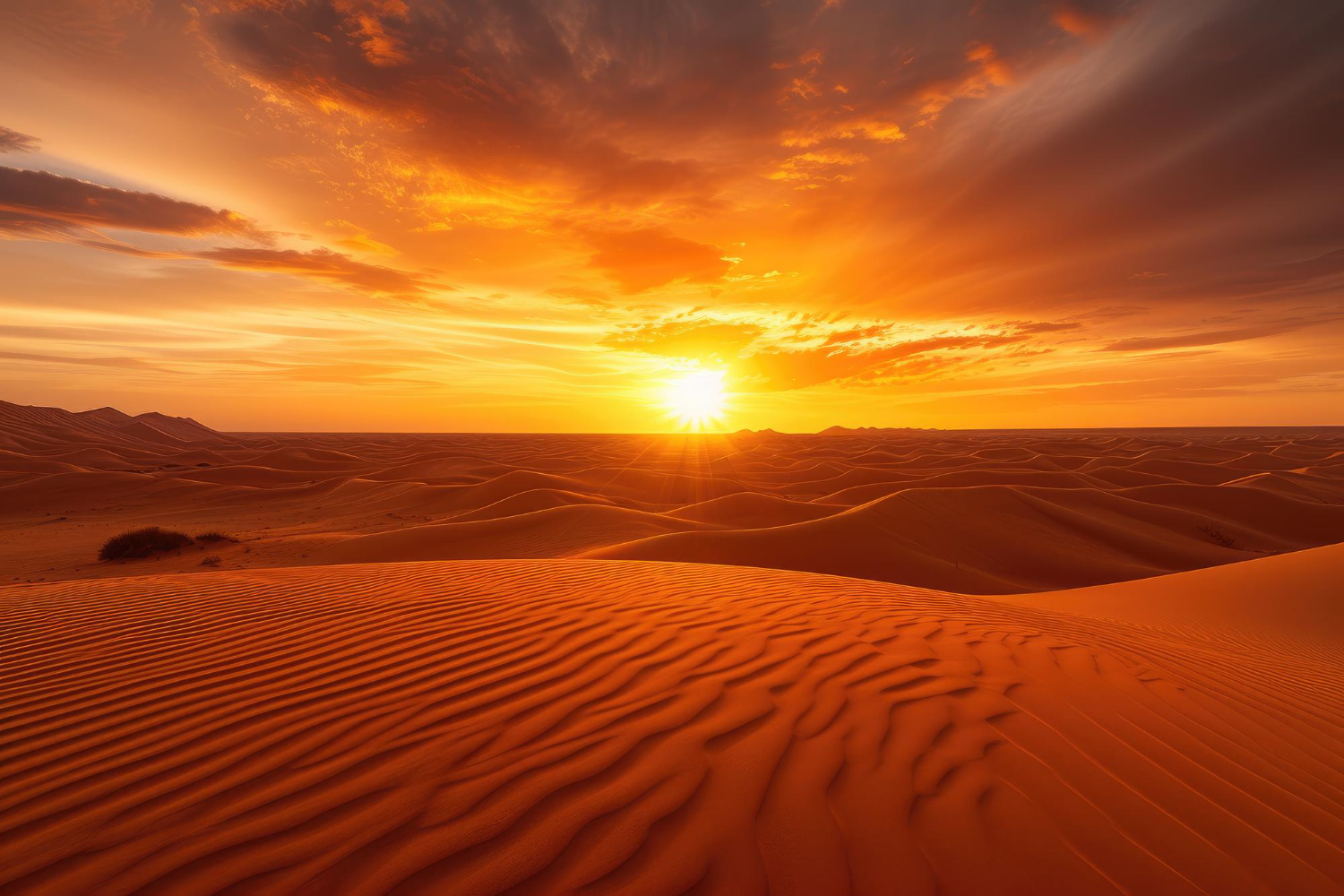 Where summer 2026 is set to be the most brutal, according to NOAA’s outlook