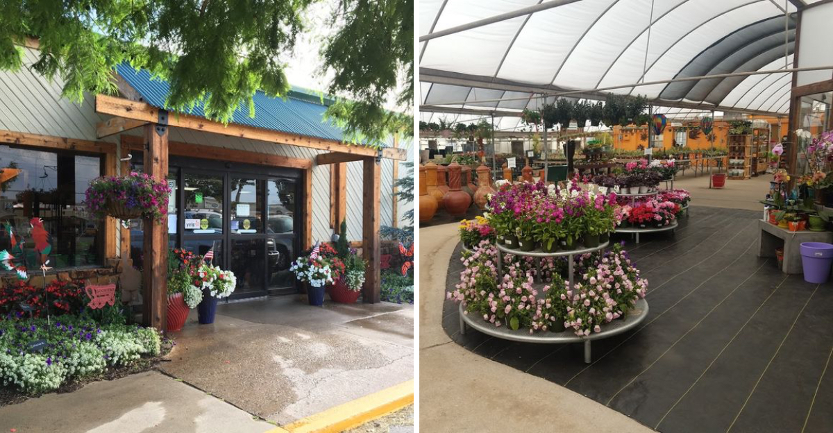 Plant lovers are fiercely gatekeeping this giant, jungle-like Oklahoma ...