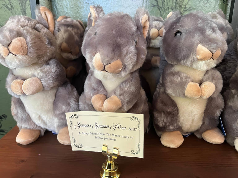 Grey Squirrel Manor coffee culture
