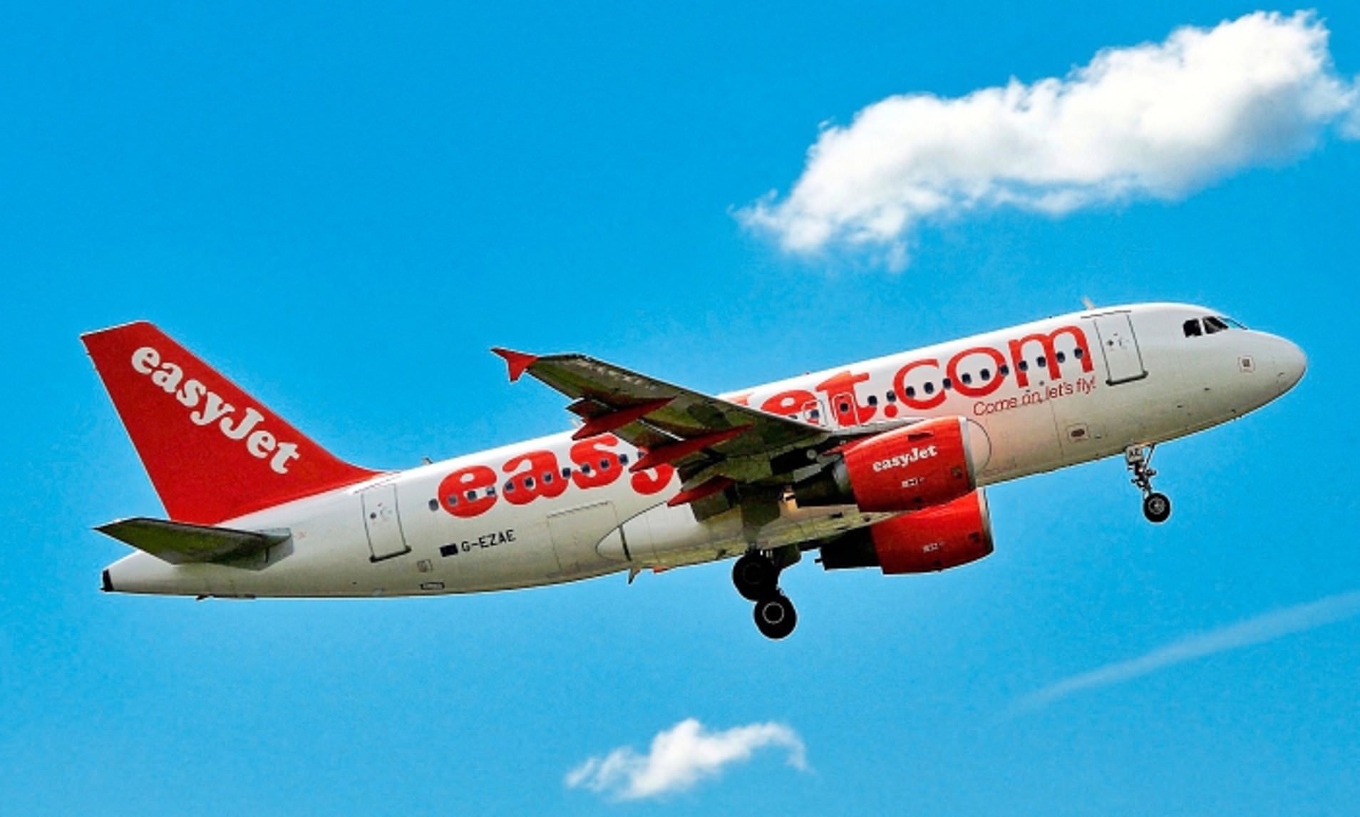 EasyJet soars as 'opportunistic' US predator plots bid