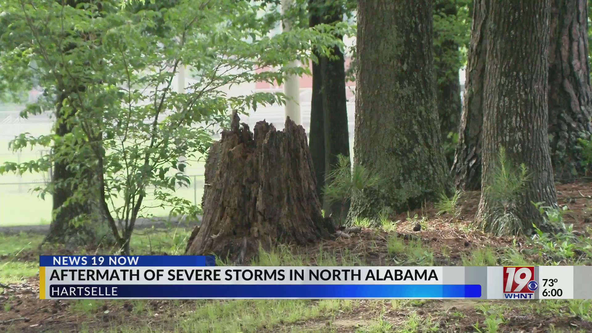 Aftermath of severe storms in North Alabama | June 1, 2026 | News 19 at ...
