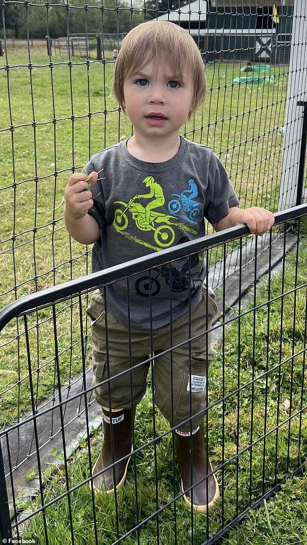 Tragedy after dad sat and watched boy, 2, walk out door of Oregon home