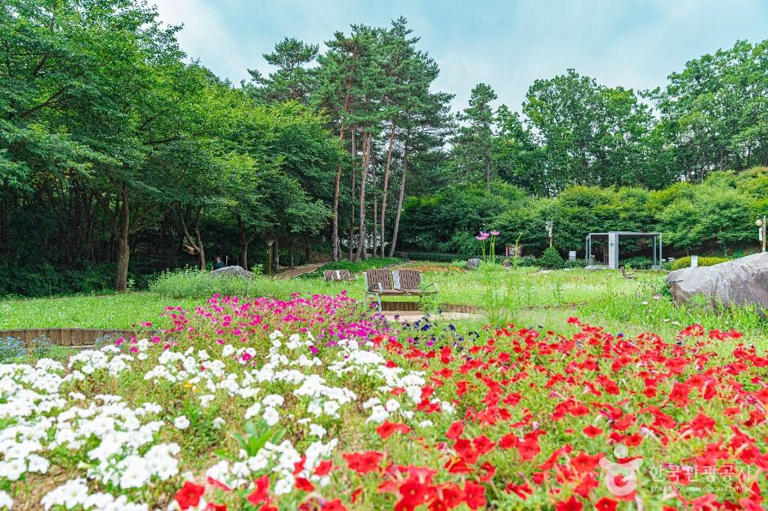 역사의 숨결과 도심 속 휴식을 찾아, 의정부 가볼 만한 곳