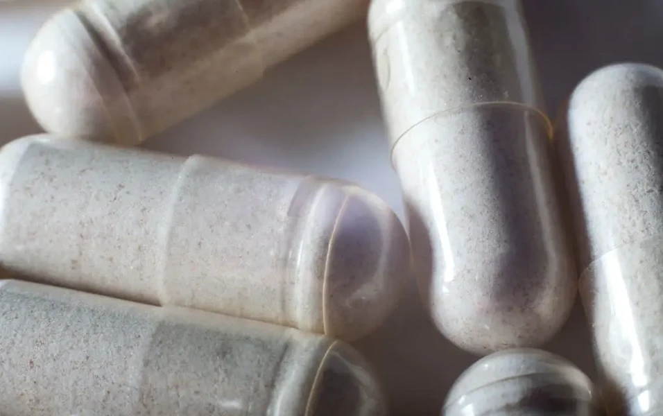 NAC supplements and what you should know