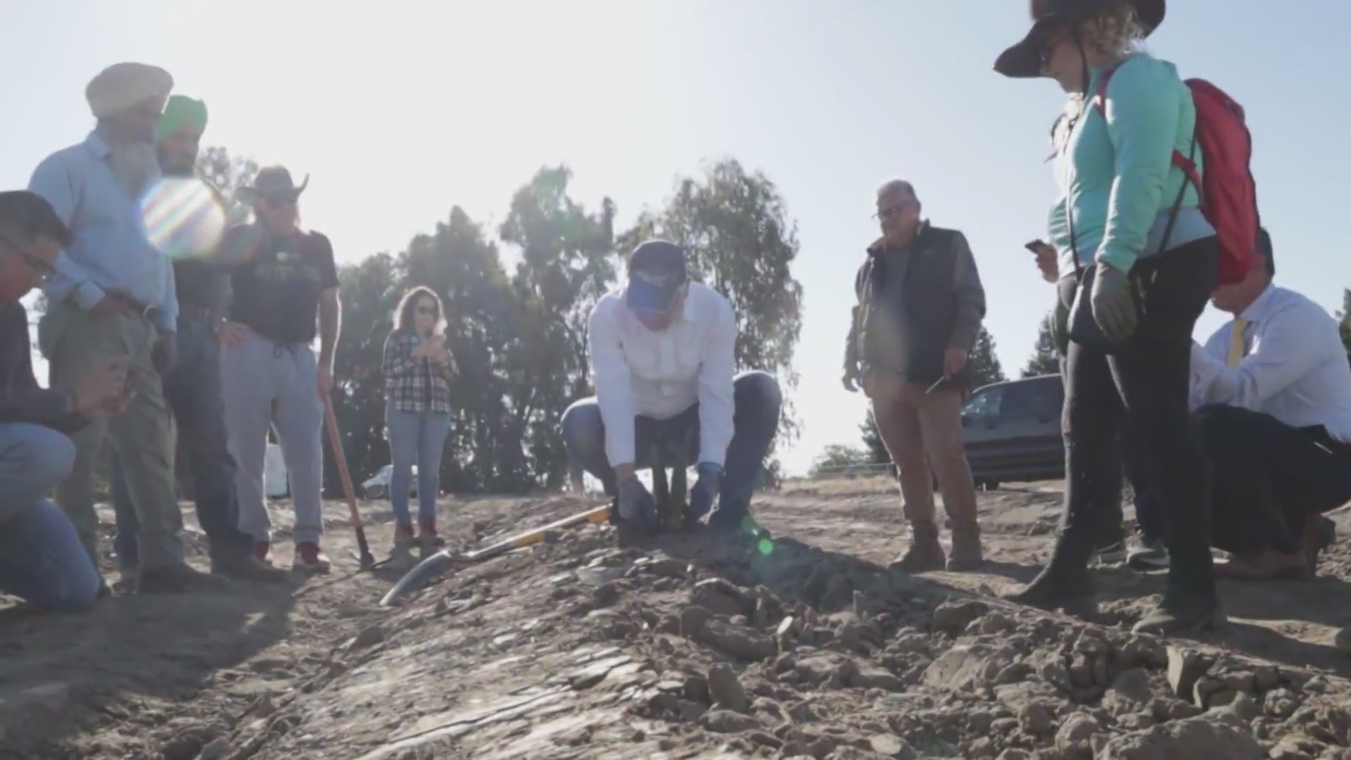 'For the farmers': Thousands of agave plants root at Madera Community ...