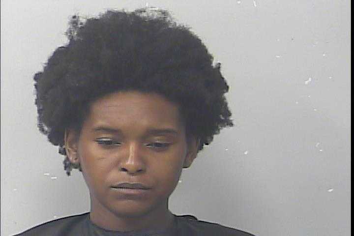 Port St. Lucie woman accused of trying to kill her mother, says animals ...