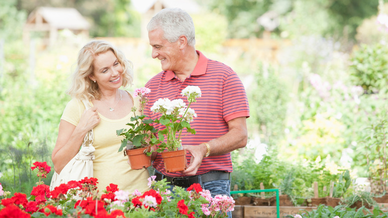 Don't fall for its beauty: The white flowering plant you don't want in ...
