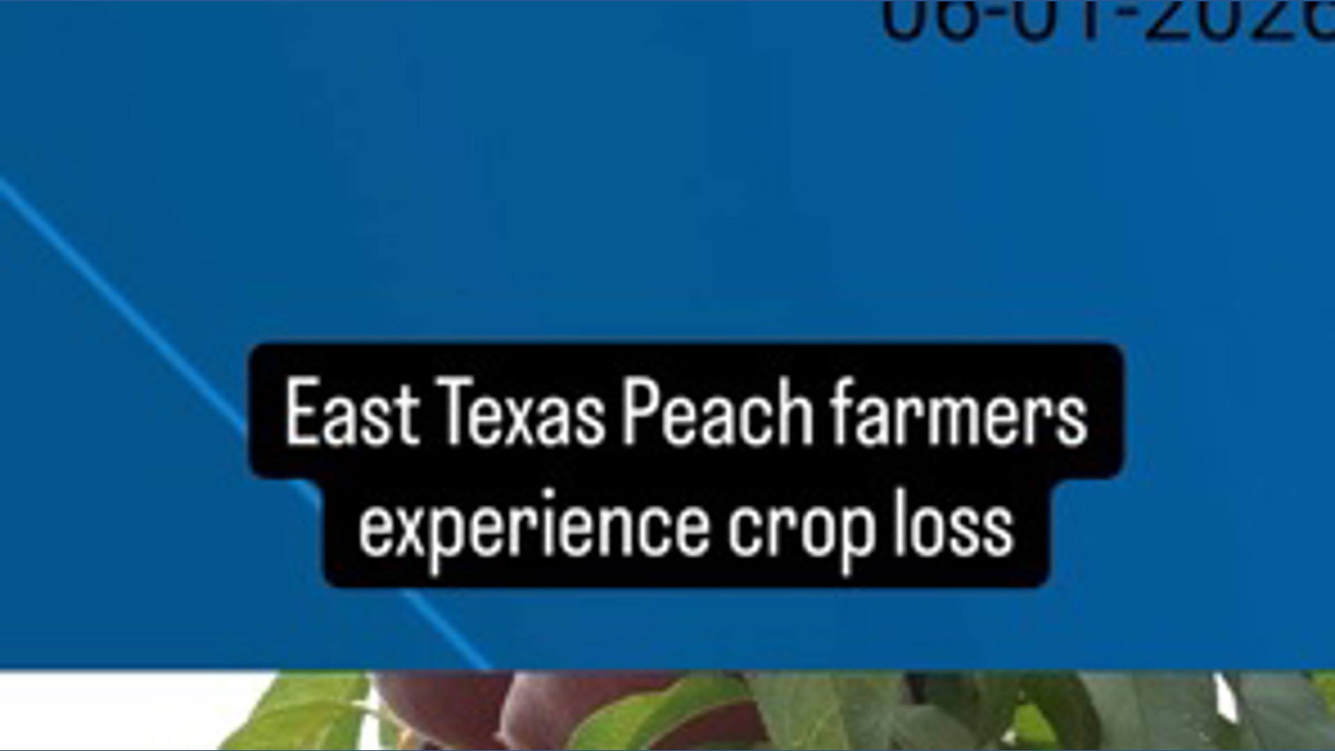 Seasonal weather impacts peach crops in East Texas