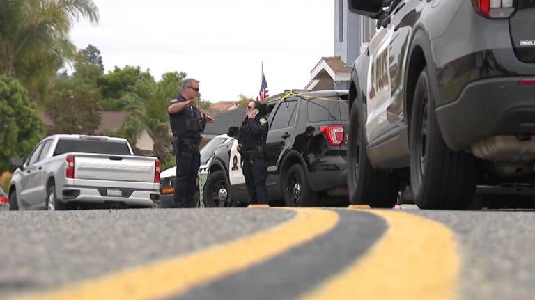 Grisly details emerge over fate of California Army vet who confronted ...