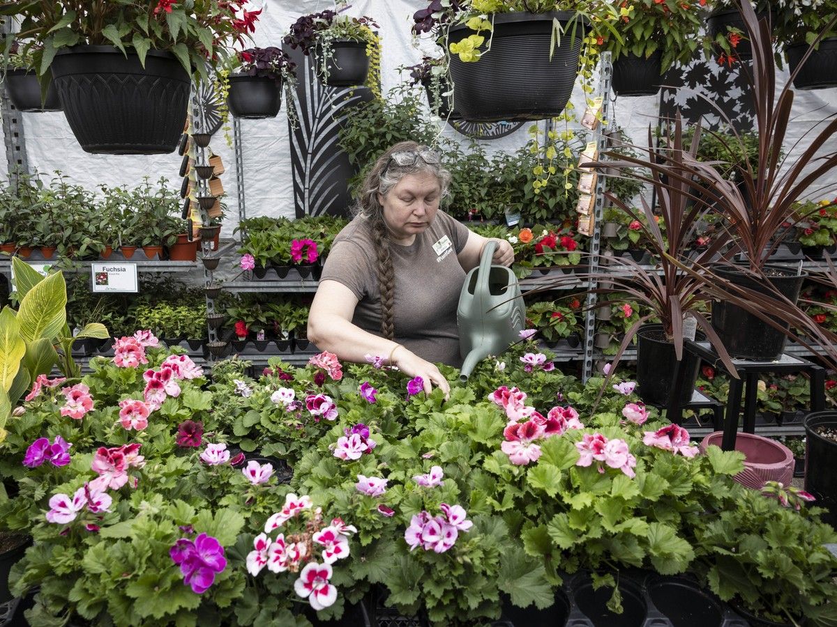 No pools, no lawn watering: Stage 3 water restrictions start on June 8