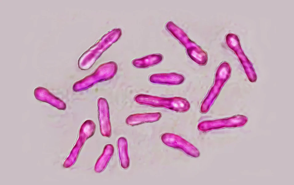 Botulism risks hiding in your kitchen