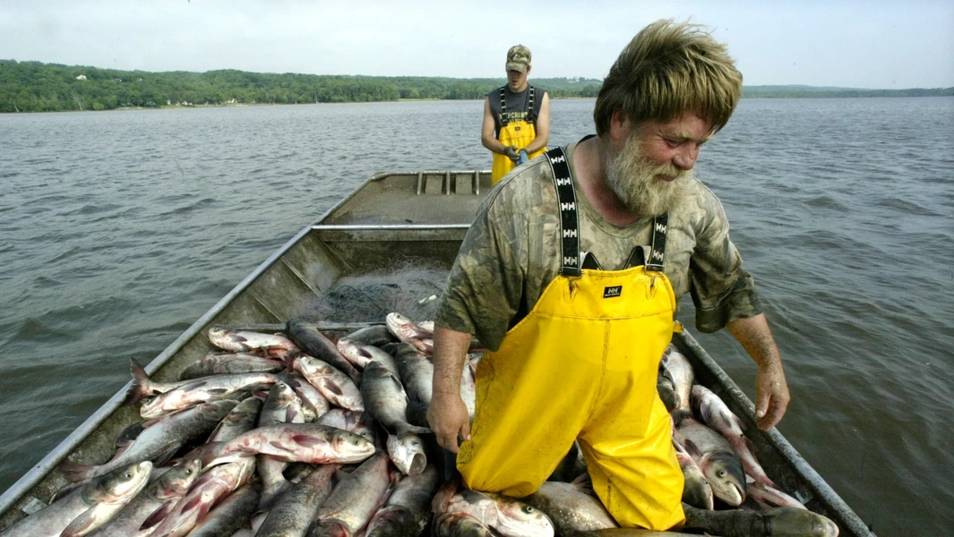 Officials remove 50 million pounds of invasive carp from Illinois River