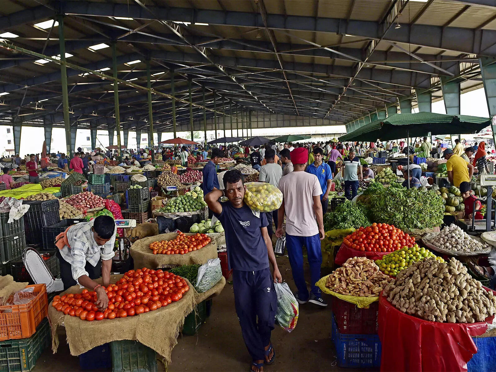 India's CPI inflation expected to rise to 4.8% with crude oil averaging ...