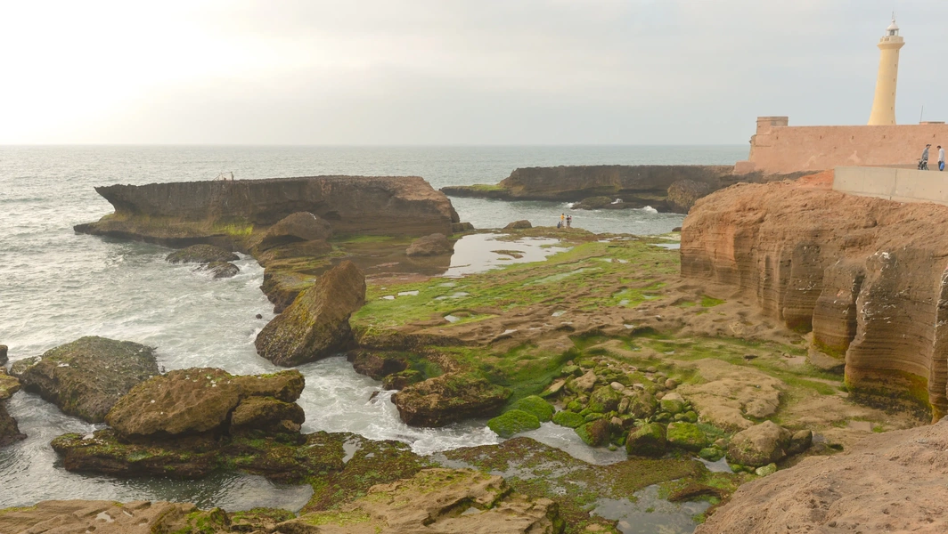 Ancient Moroccan fossils illuminate early human evolution
