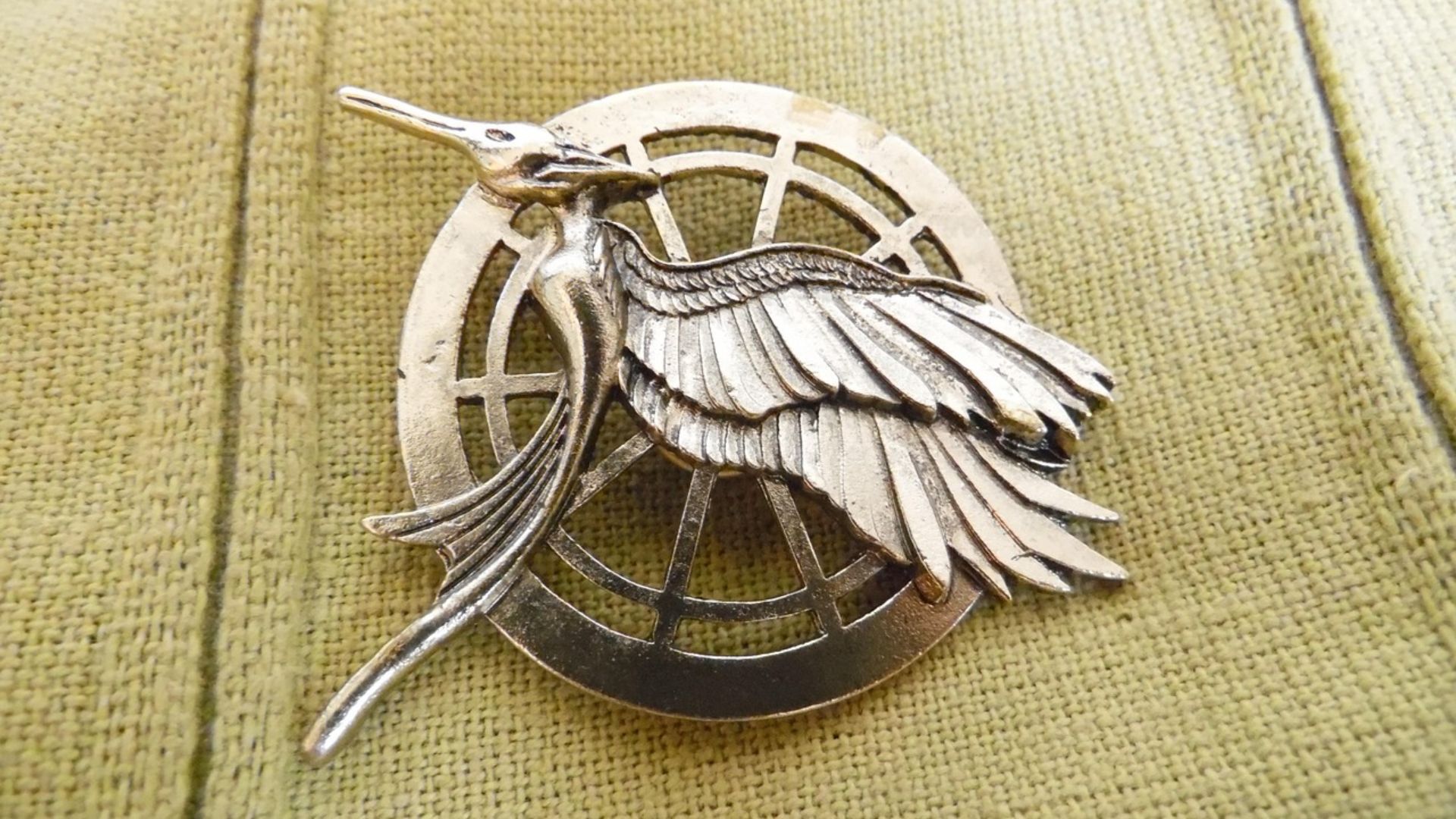 20 Hunger Games details adults notice faster than teen readers do