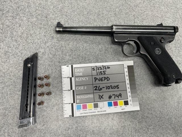 Driver arrested after routine traffic stop reveals loaded gun ...