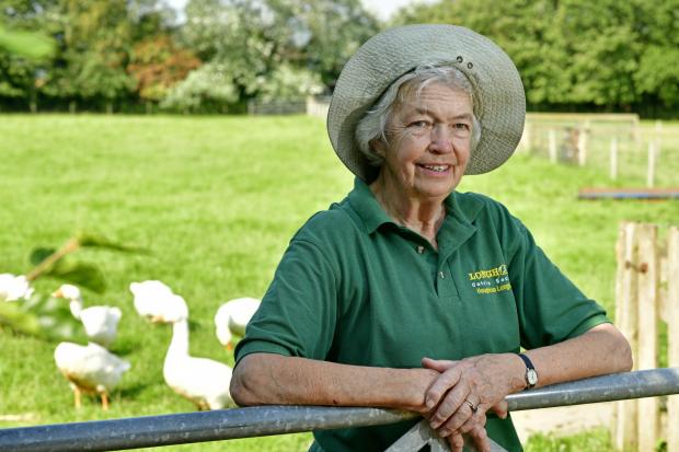 Family farm near Carlisle to open gates for Open Farm Sunday