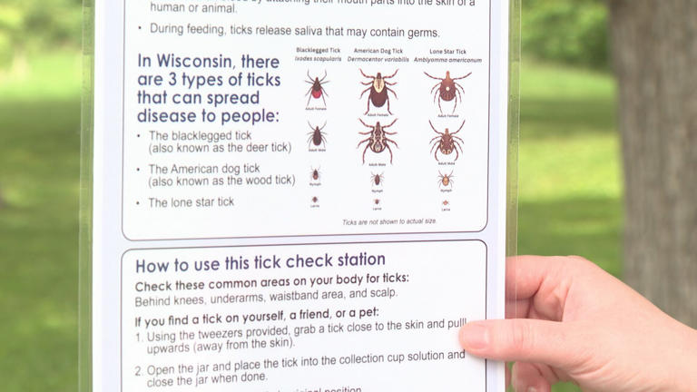 Dane County launches tick check stations as urgent care visits spike