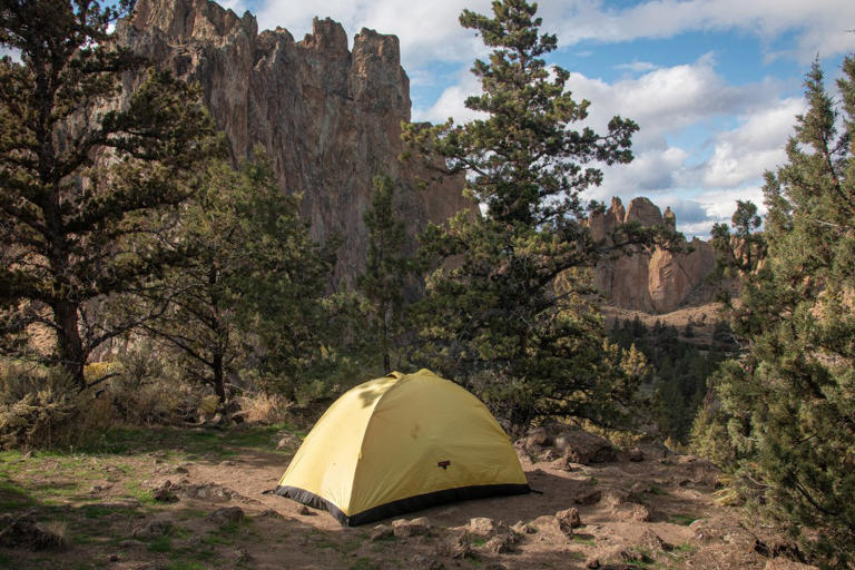 Sex offender allegedly cut open camping tent, kidnapped and bound two ...