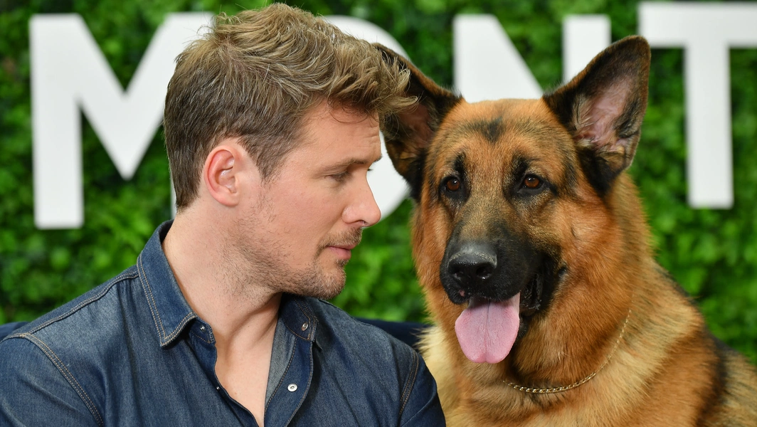 John Reardon returns to 'Hudson & Rex' after fan backlash