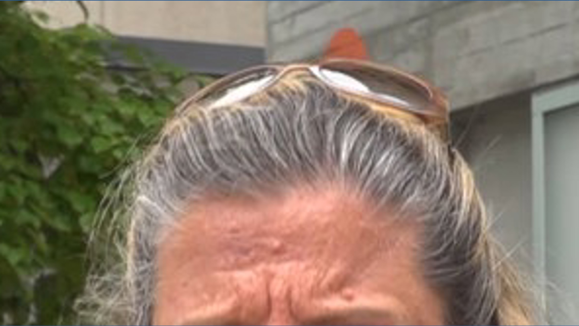 Rep. Gloria Johnson speaks against banning books