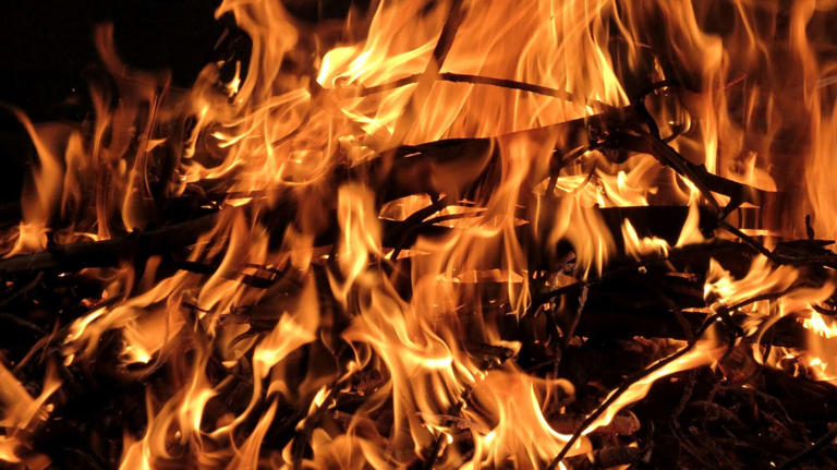 El Homo erectus aprendió a manipular el fuego antes de saber encenderlo