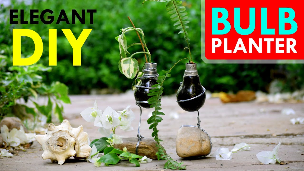 Easy DIY bulb planter you can make quickly