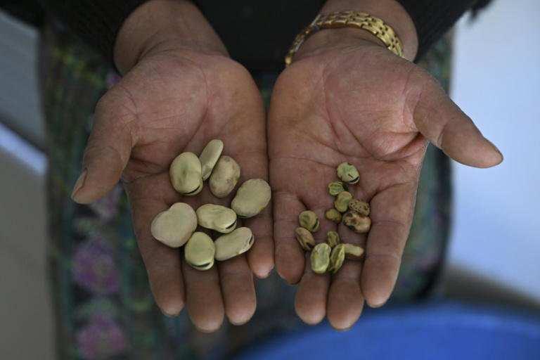 Fears of hunger overwhelm Guatemalan village as El Nino approaches