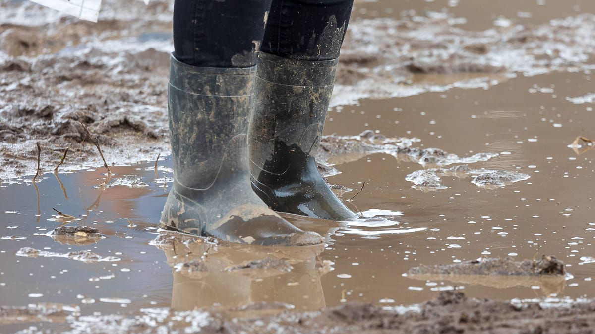 Wetter zu Rock im Park wird wohl wechselhaft