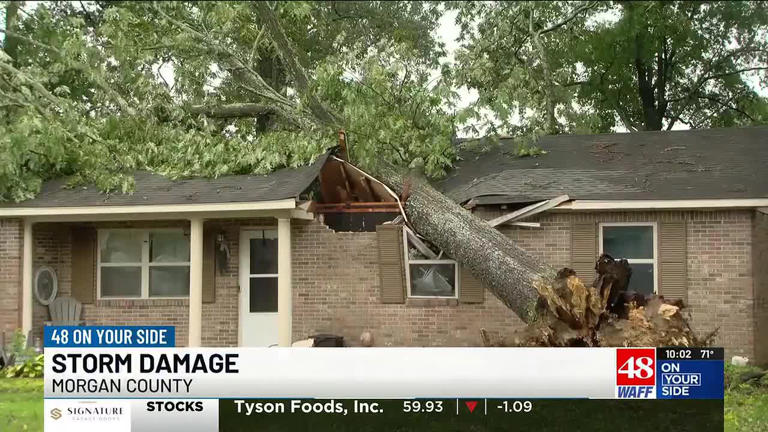 Severe storms leave 1,200 without power, topple dozens of trees in ...