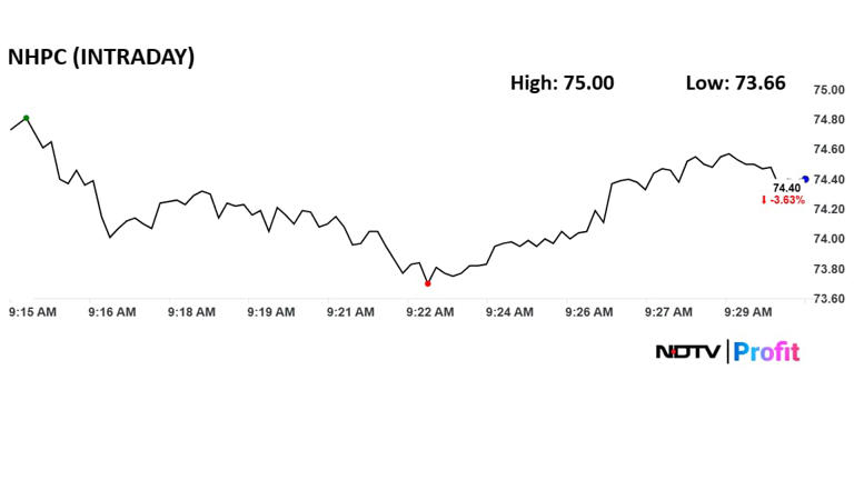 NHPC shares fall after government plans to sell stake at 8% discount