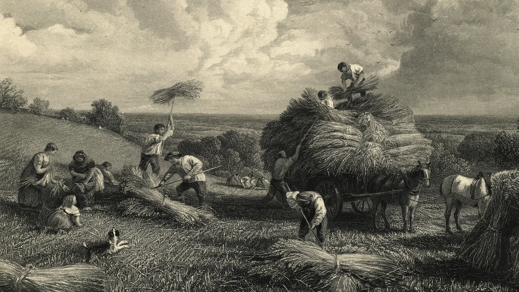 14 rare photographs from the 1850s