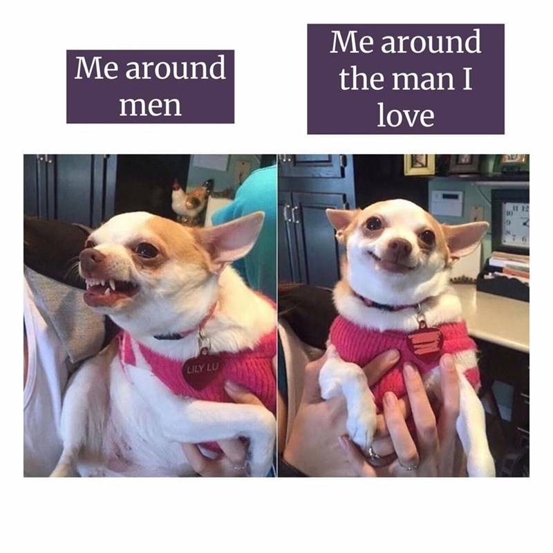 22 howlarious pupper memes to raise you up when you’re feeling ruff