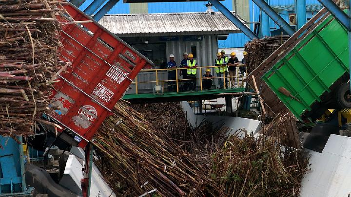 Bantu petani tebu, Bulog usul pergantian manajemen PT GMM