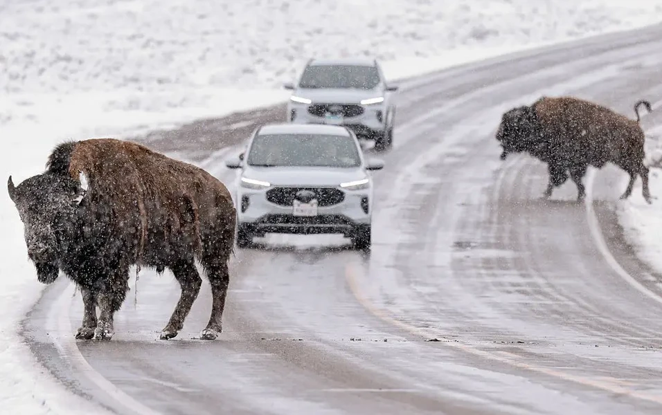 Life on the Great Plains, then and now