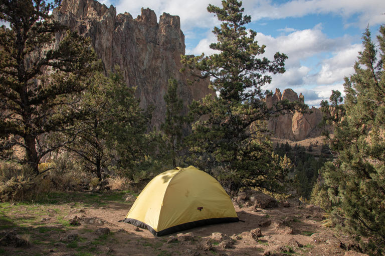 Sex offender allegedly cut open camping tent, kidnapped and bound two ...