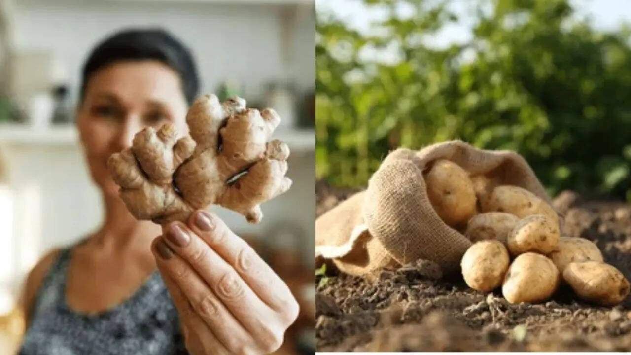 Your dustbin is hiding a garden: 10 everyday kitchen wastes that can ...