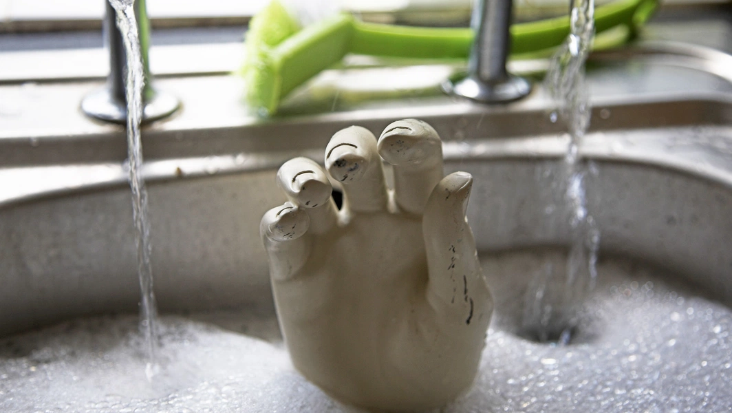 Experts rank kitchen sink as top household germ hotspot