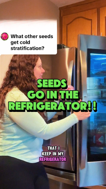 Seeds that need cold stratification