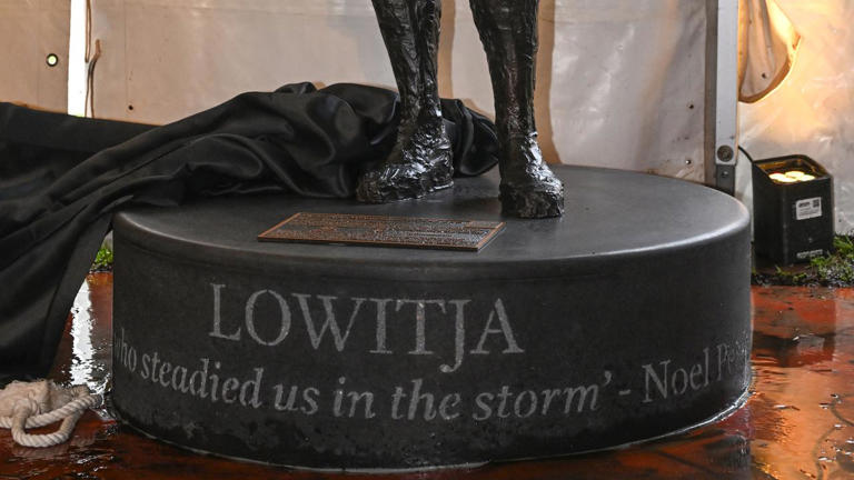 Art symbolises Indigenous leader's steely resolve