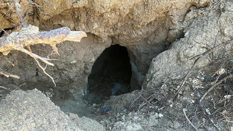 Yanan ormanda ortaya çıktı! Defineciler bölgeye akın etti: Gizlice ...