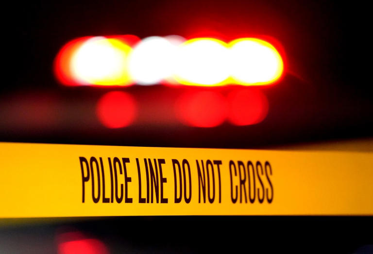 Sex offender allegedly cut open camping tent, kidnapped and bound two ...