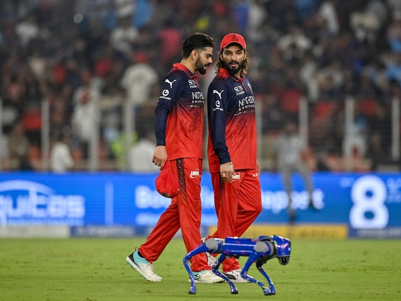 Virat Kohli 'ultimate alpha' as R Ashwin names 5 people behind RCB's ...