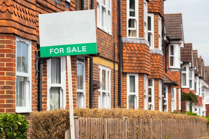 Designer says house value could be boosted by 15% with one simple change