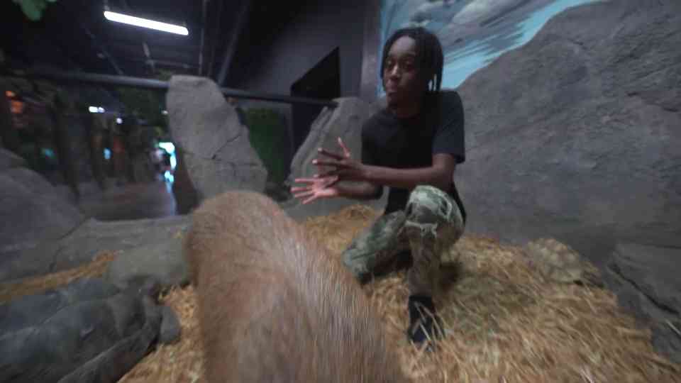 They feed them by hand... and one mistake could cost everything