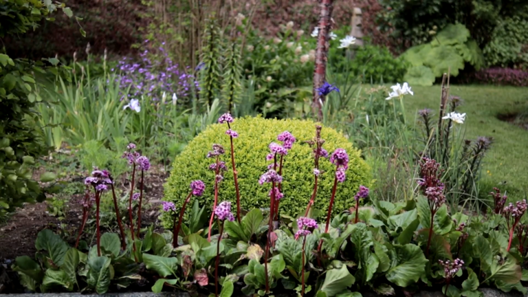 8 essential gardening tasks every gardener should prioritize