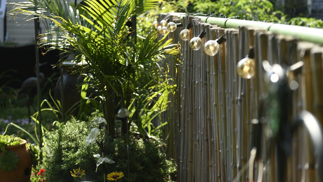 19 affordable backyard privacy ideas