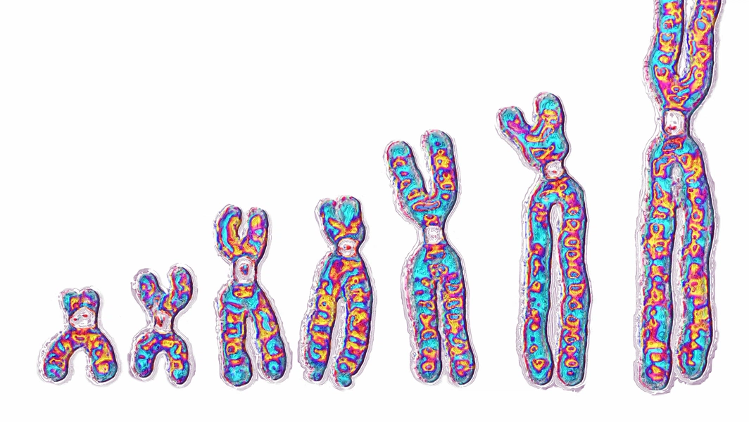 Cracking the secrets of DNA replication and repair