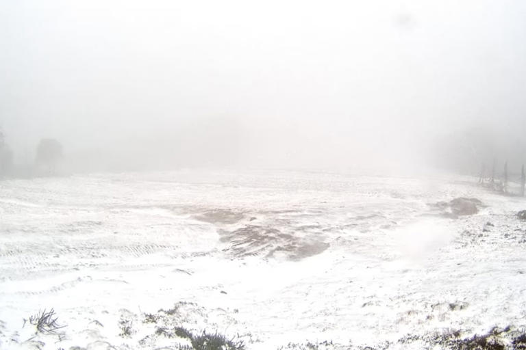 Excitement as Aussie snow season's opening long weekend set to be a ripper
